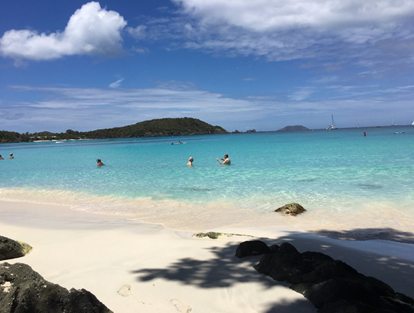 Top 5 Beaches in St. John, United States Virgin Islands